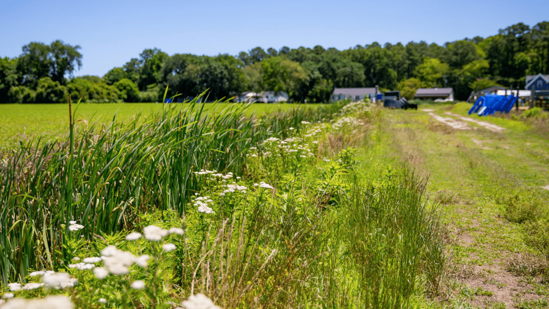 What You Need To Know About The Impact of Holistic Management On The ...